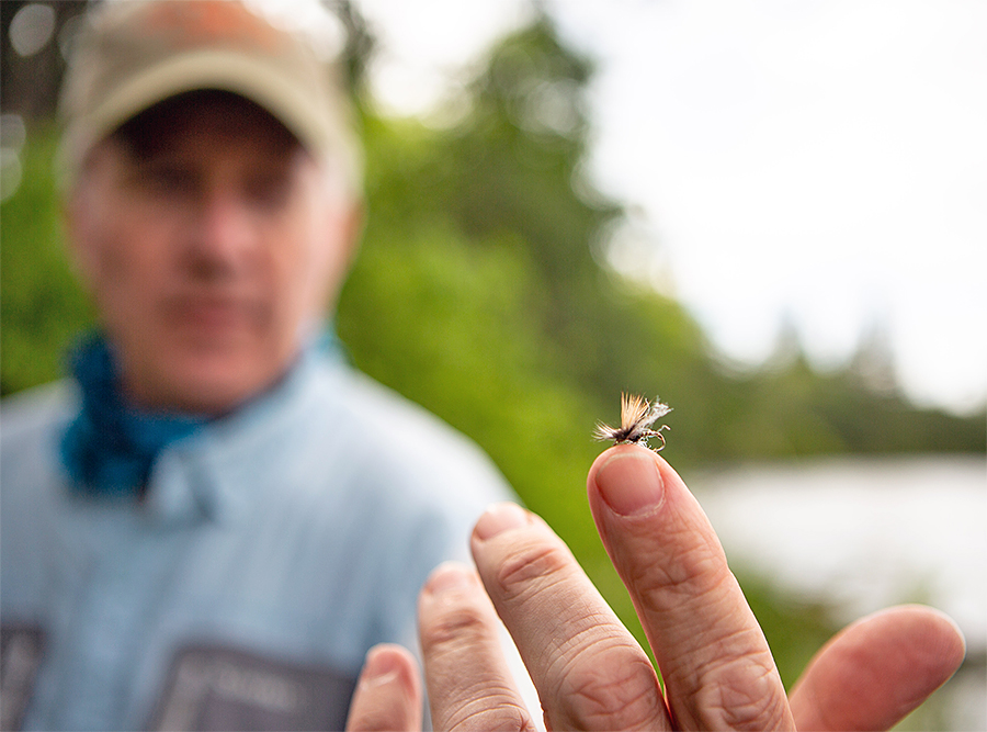 Mercer’s Missing Link Honey Ant - The Fly Shop