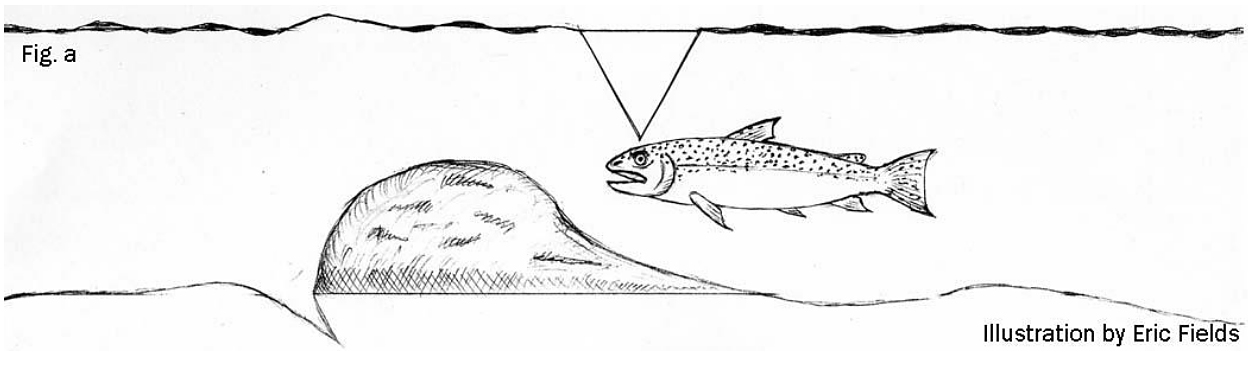 Recognizing Rise Forms - Techniques for Dry Fly Fishing