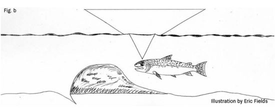 Recognizing Rise Forms - Techniques for Dry Fly Fishing