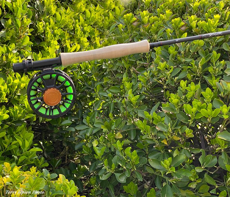 Gear Review: Ross Reels - The Fly Shop