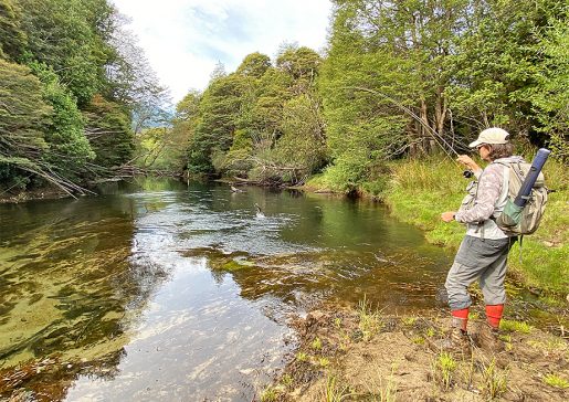 ElEscondido_Seasons_FightingFish