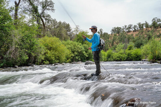 BattleCR_DominicBruno